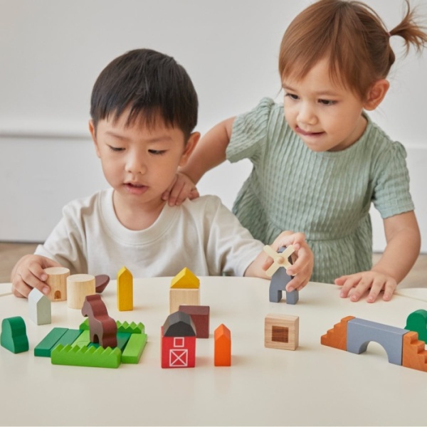 Plan Toys Country Blocks | Bex n Boo