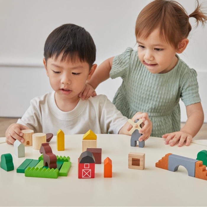 Plan Toys Country Blocks | Bex n Boo